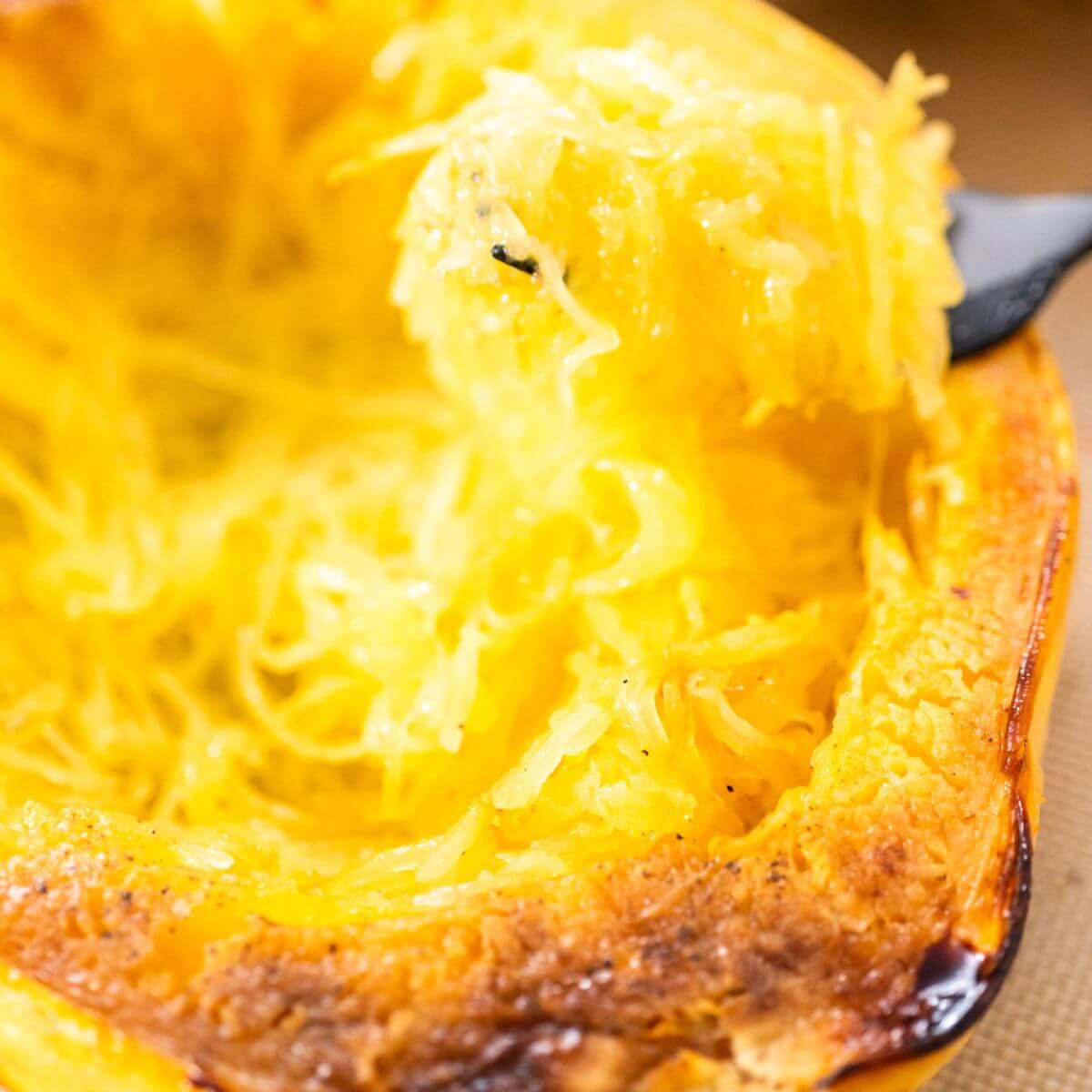 25 Best Spaghetti Squash Recipes