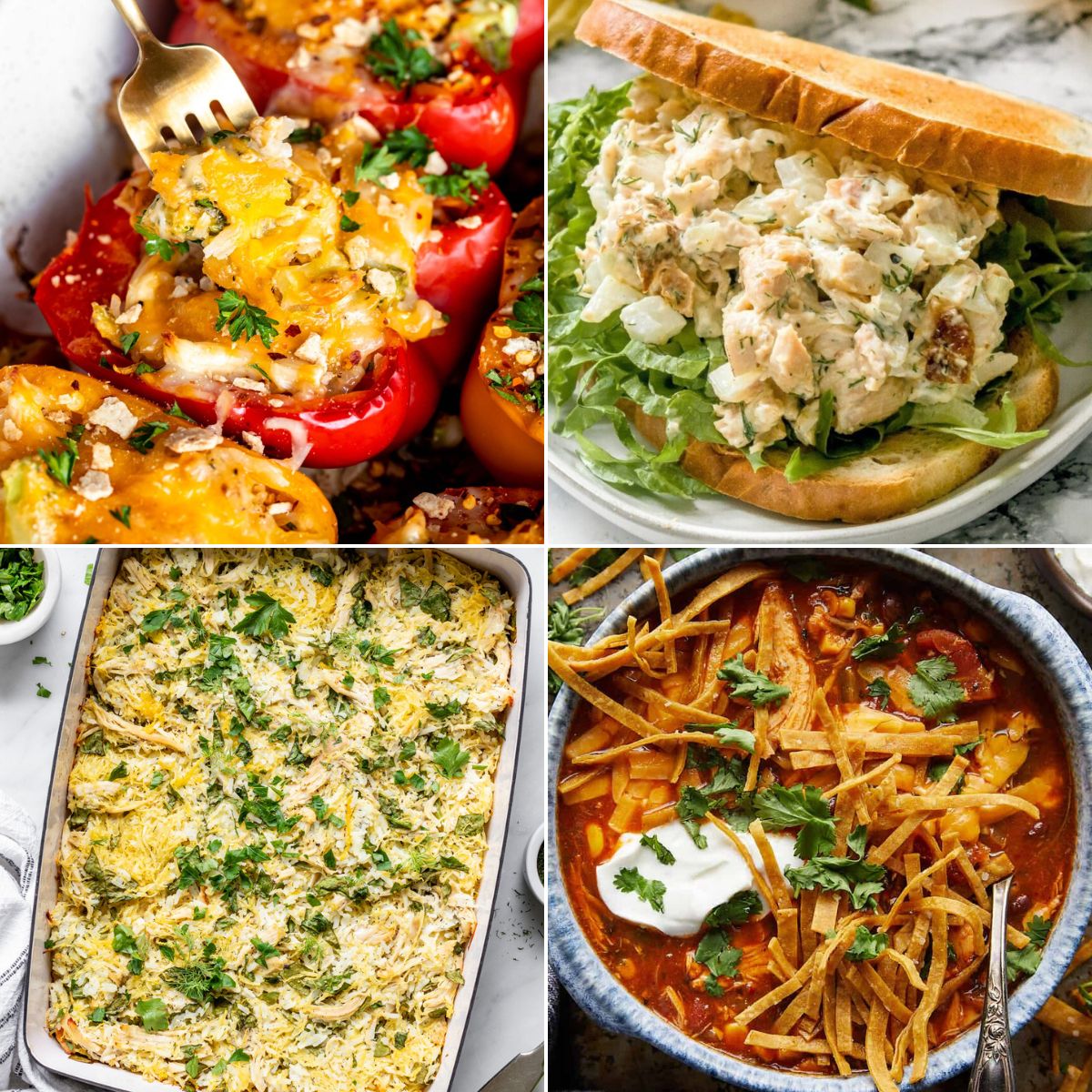 20 Best Delicata Squash Recipes